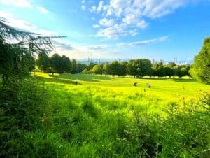 The Course – Grangemouth Golf Club